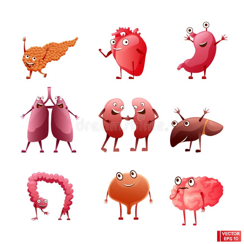 Set of Cartoon Characters Organs Stock Illustration - Illustration of ...