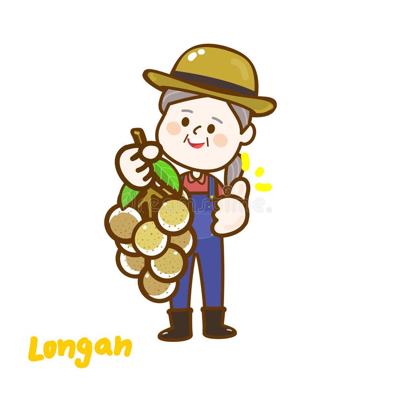 Cartoon Longan Thai Fruit Character Vector. Stock Vector - Illustration ...