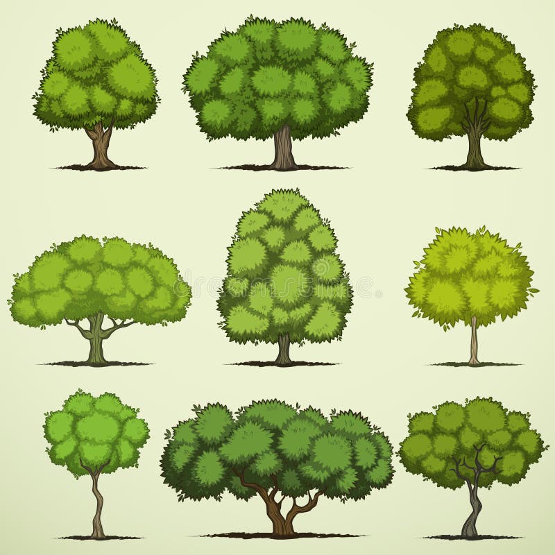 Deciduous Tree Clipart