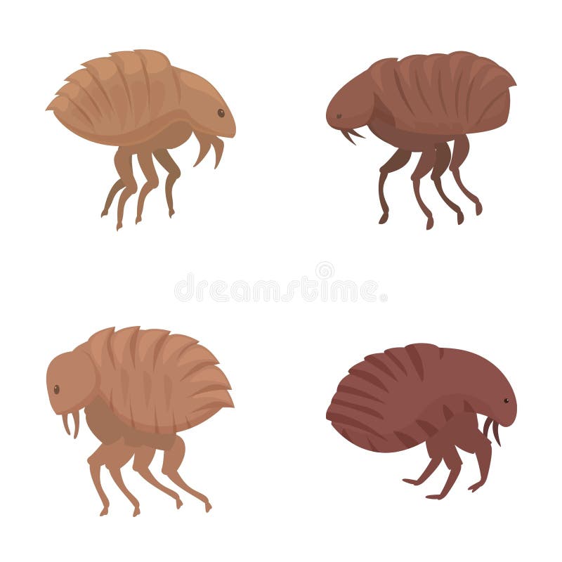 Set of Cartoon Fleas in Various Poses Stock Vector - Illustration of ...