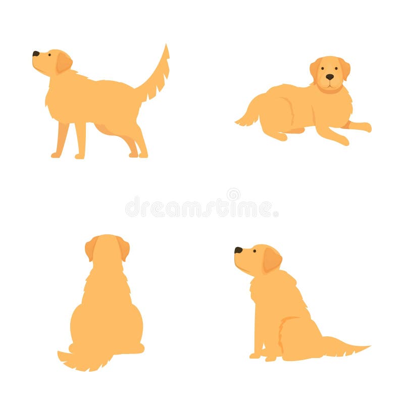 Set of Cartoon Labrador Retriever Illustrations Stock Vector ...