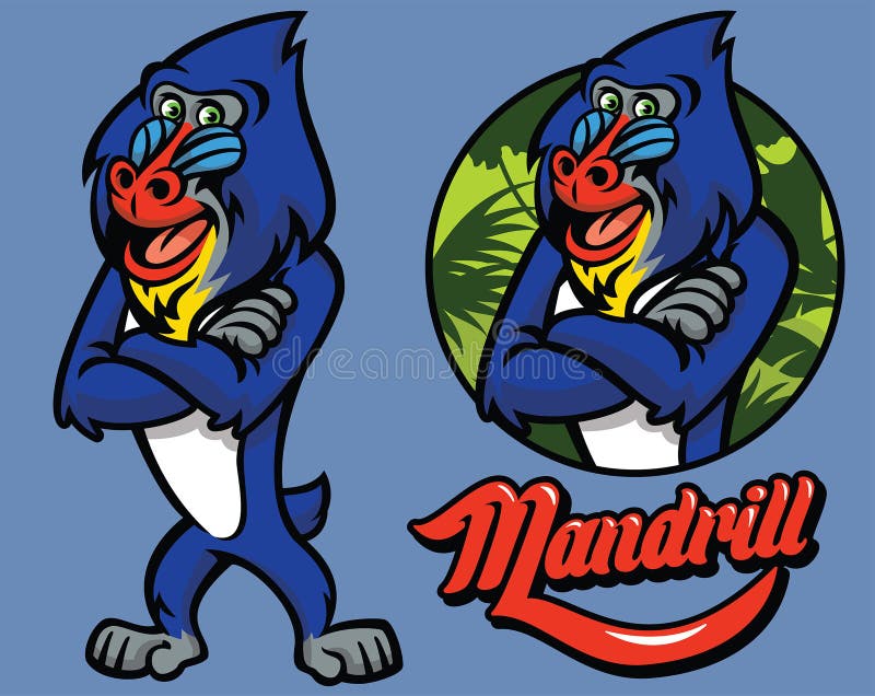 Mandrill monkey head stock illustration. Illustration of animal - 59543000