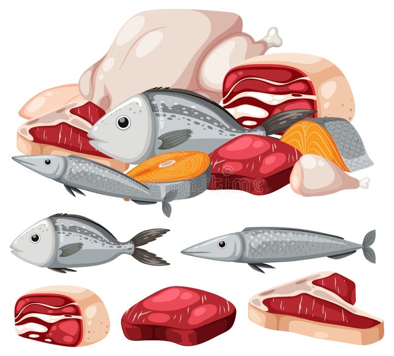 Set of Cartoon Protein Food Stock Vector - Illustration of salmon ...