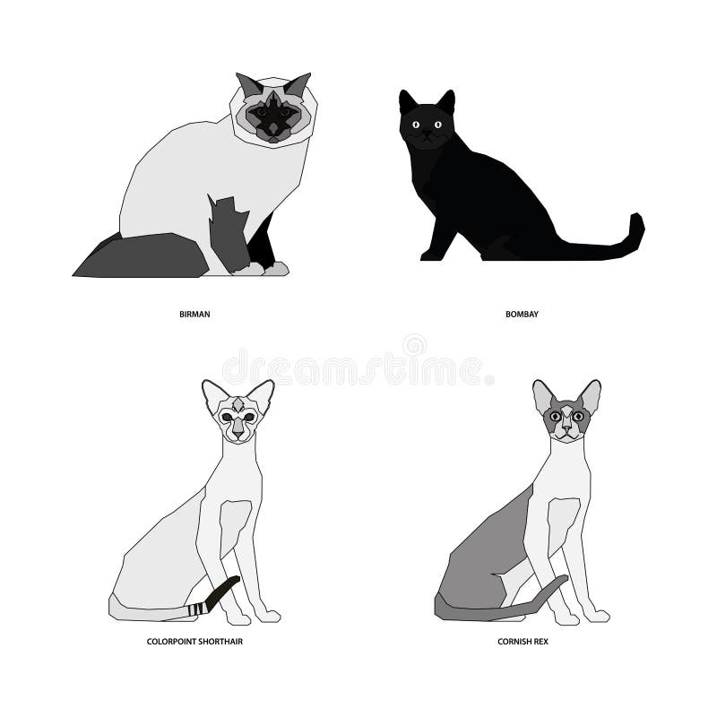 Set of Cat Breeds, Illustration Stock Illustration - Illustration of ...