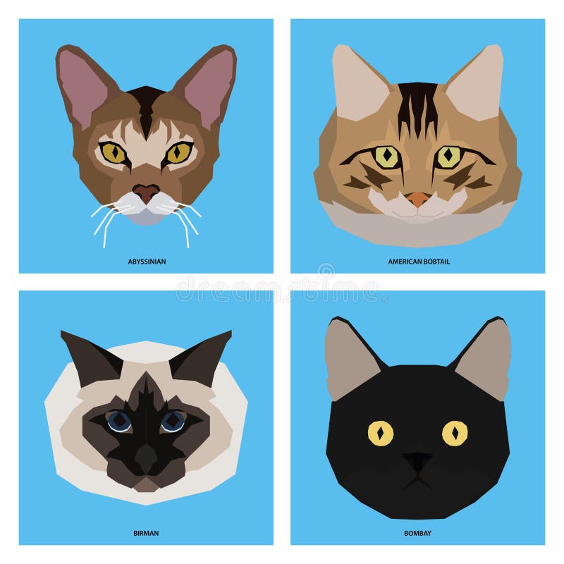 Set of Cat Breeds, Illustration Stock Illustration - Illustration of ...