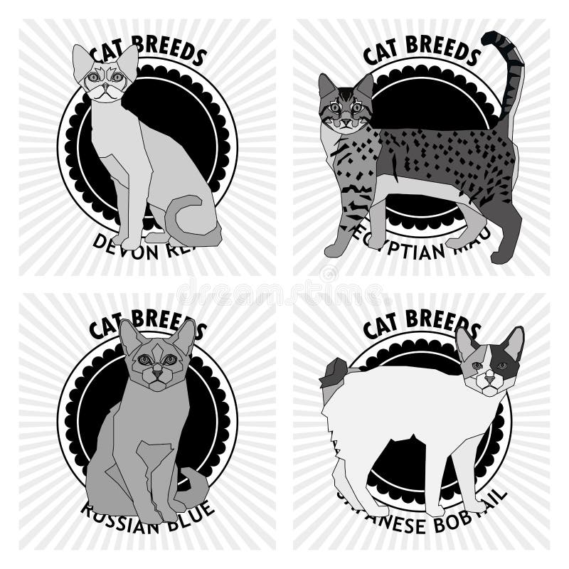 Set of Cat Breeds, Illustration Stock Illustration - Illustration of ...