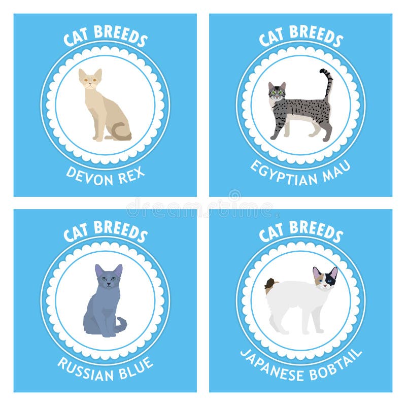Set of Cat Breeds, Illustration Stock Illustration - Illustration of ...