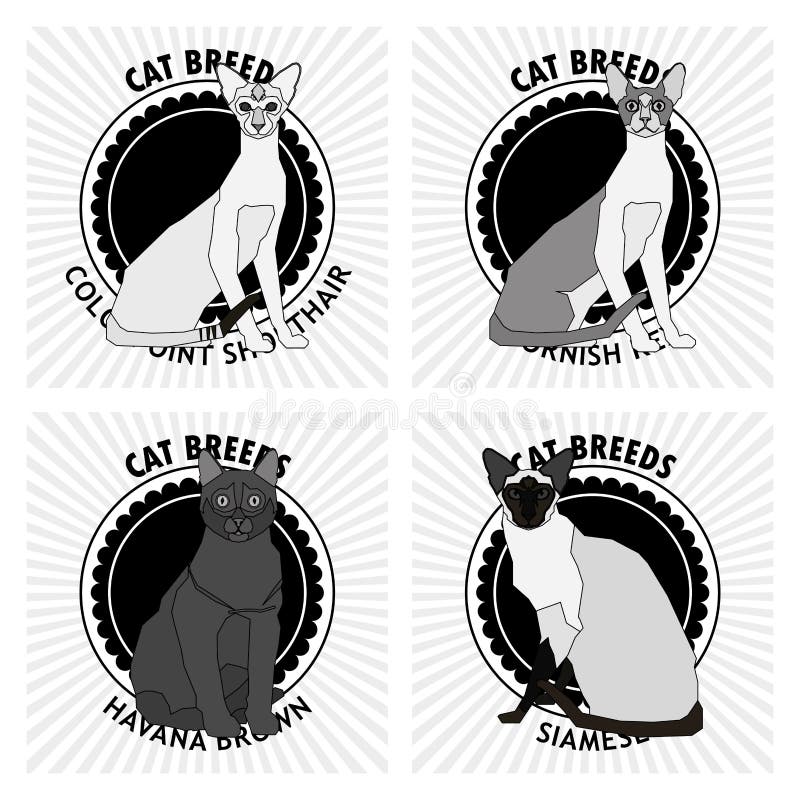 Set of Cat Breeds, Illustration Stock Illustration - Illustration of ...