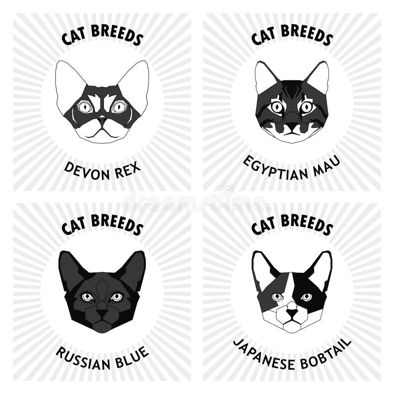Set of Cat Breeds, Illustration Stock Illustration - Illustration of ...