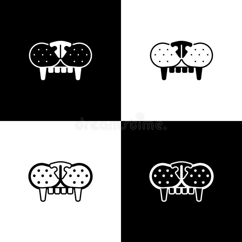 Set Cat Tooth Icon Isolated on Black and White Background. Vector Stock ...