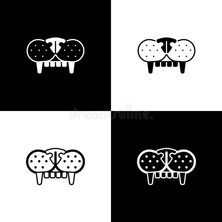 Set Cat Tooth Icon Isolated on Black and White Background. Vector Stock ...