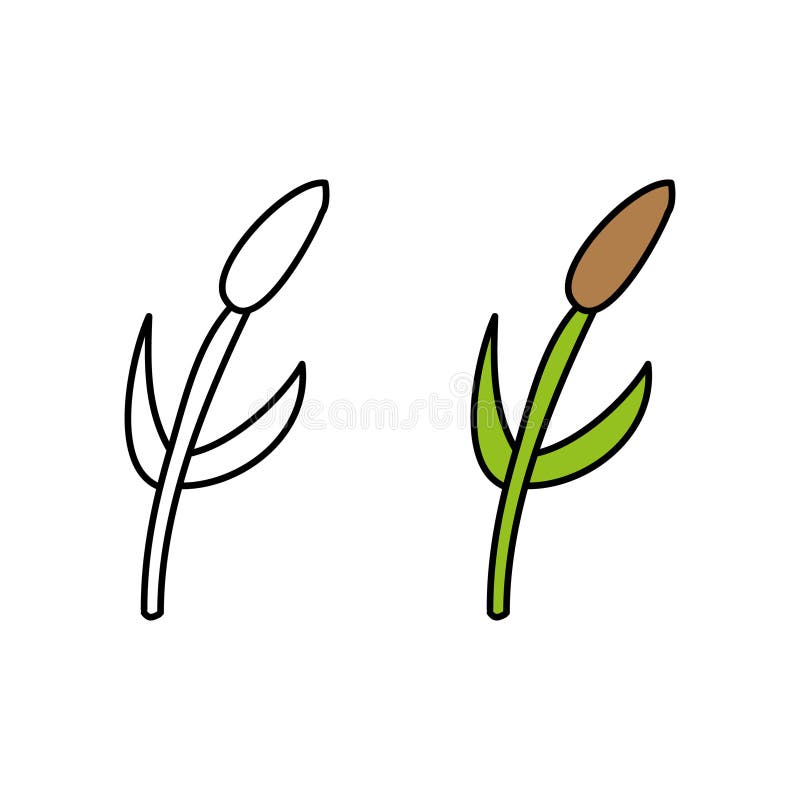Cattail Outline Stock Illustrations – 245 Cattail Outline Stock ...