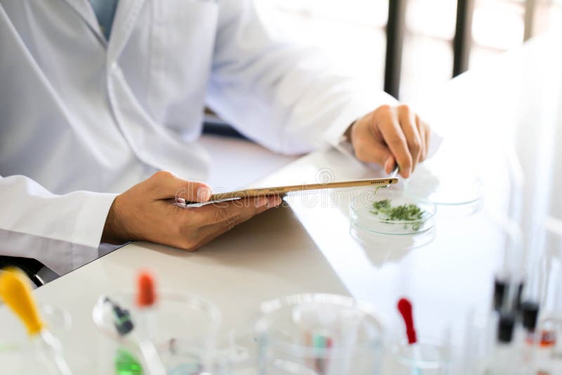 Set of Chemical Tube Development and Pharmacy in Laboratory ...