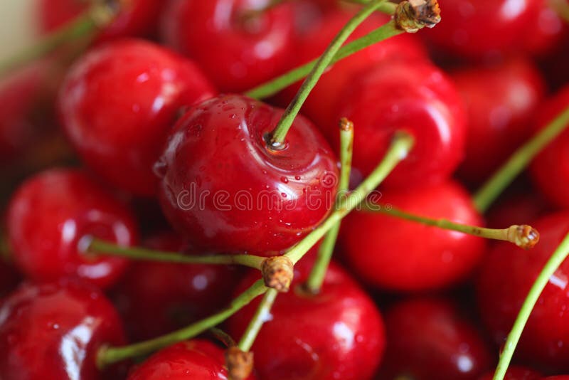 Set of Cherry Berry Fruits on White Stock Image - Image of eating ...