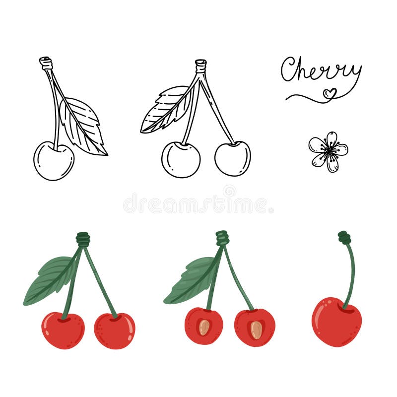 Set of Cherry in Doodle and Hand Drawn Styles Stock Vector ...