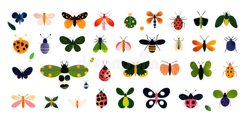 A Set of Childish Colorful Illustrations of Different Bugs Isolate on ...