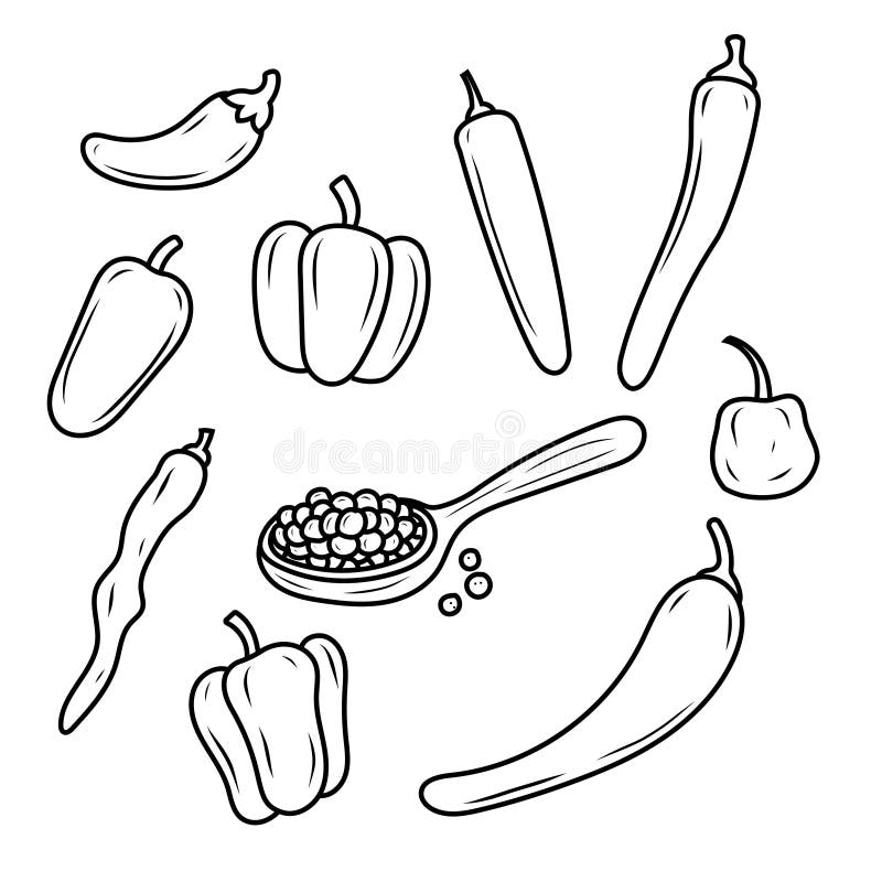 Set of Chili and Pepper Vector Illustrations with Doodle Drawing Style ...