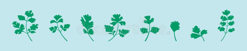Set of Cilantro Cartoon Icon Design Template with Various Models ...