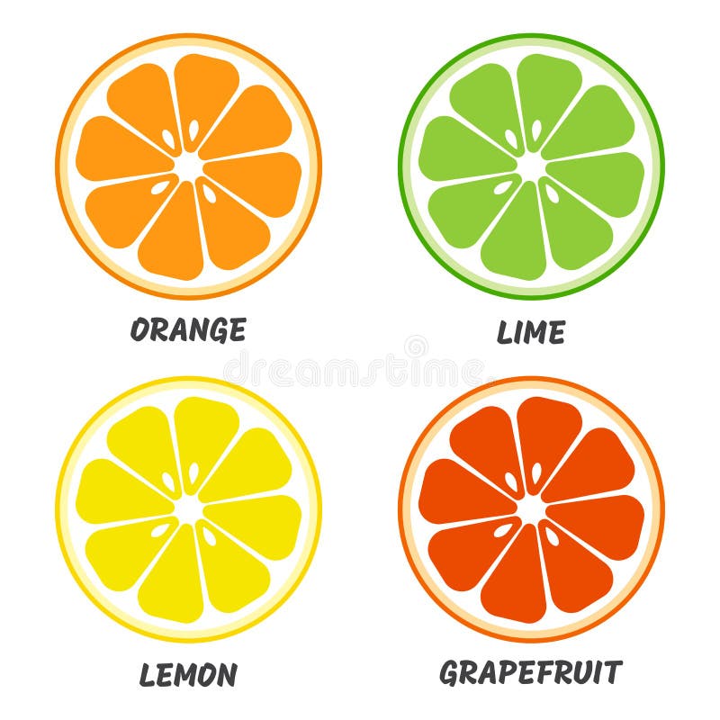 Set of Citrus Icon. Vector Illustration Stock Illustration ...