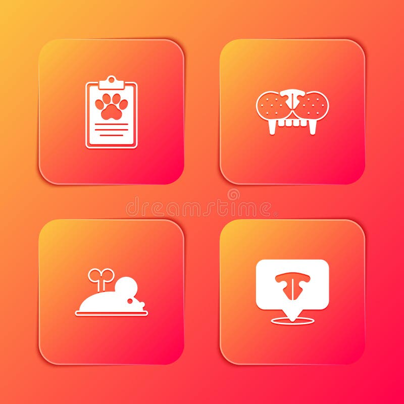 Set Clinical Record Pet, Cat Tooth, Clockwork Mouse and Nose Icon ...