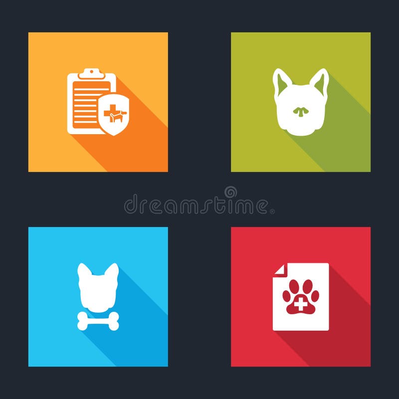 Set Clinical Record Pet, Dog, and Bone and Medical Certificate for Dog ...