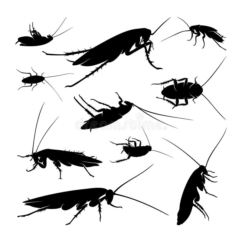 Set of Cockroach Logo Design Vector Illustration. Cockroach Design ...