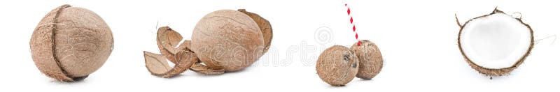 Set of Coconut Isolated on White Stock Image - Image of healthy ...