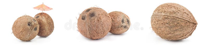 Set of Coconut Isolated on a White Cutout Stock Image - Image of ...