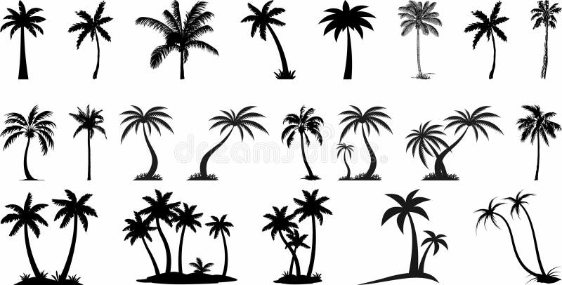 Set of Coconut Tree Collection. Stock Vector - Illustration of shrub ...