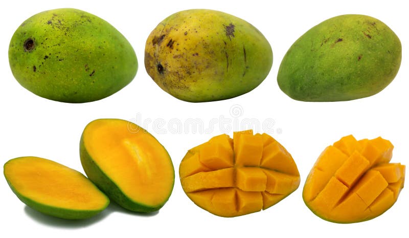 Set Collection of Fresh Delicious Mango Fruit, Cut Out Isolated Stock ...