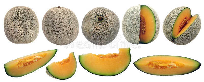 Set Collection of Fresh Delicious Melon Fruit, Cut Out Isolated Stock ...