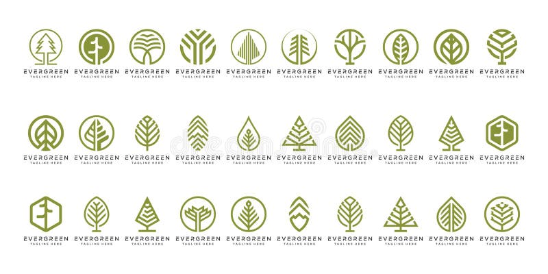 Set of Collection Pine Tree Logo Design, for Evergreen Concept Vector ...