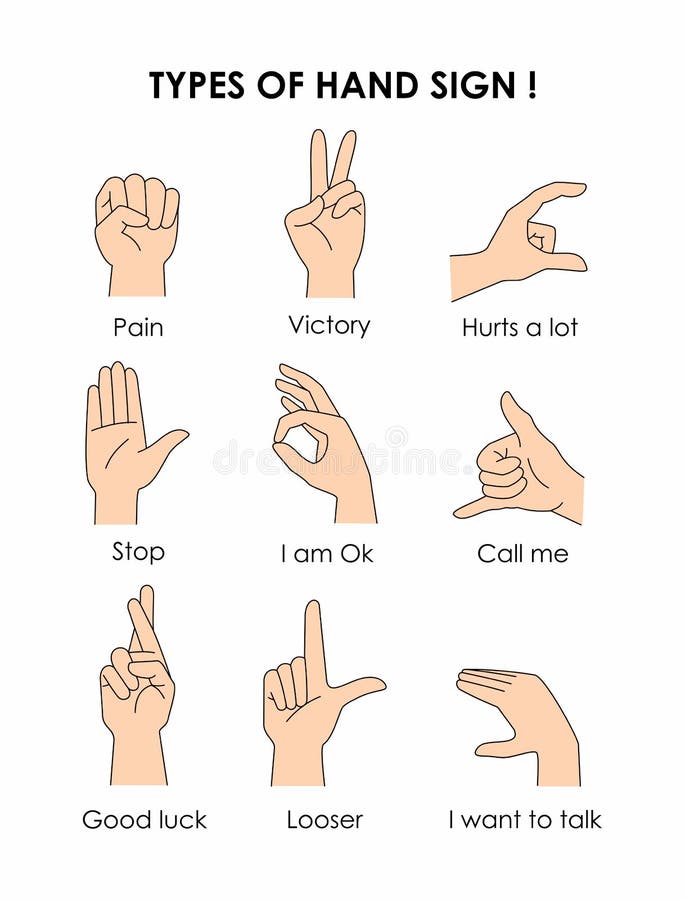 Collection of Types of Shoes Stock Illustration - Illustration of ...