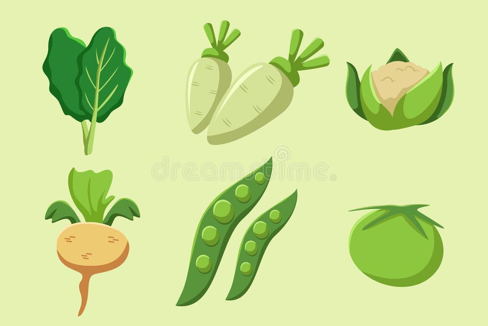 Set Collection of Vegetable Element Stock Vector - Illustration of farm ...