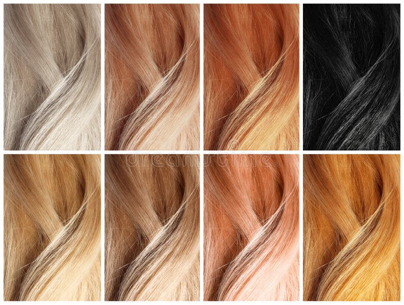 Set with Color Hair Samples. Beauty Stock Image - Image of palette ...