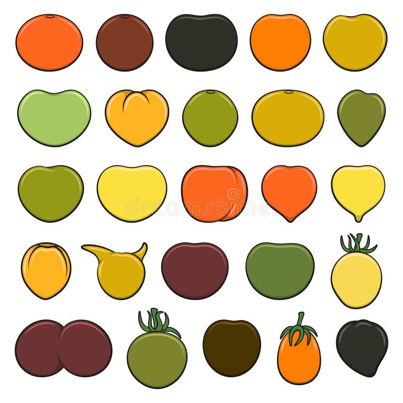 Set of Color Illustrations with Green and Yellow Tomatoes. Isolated ...
