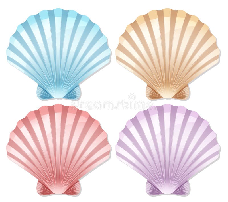 Set Scallop Sea Shell Icon Isolated on Black and White Background ...