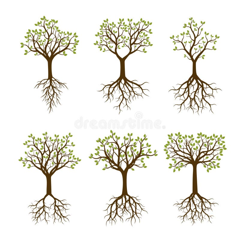 Color Tree and Roots. Vector Illustration Stock Illustration ...