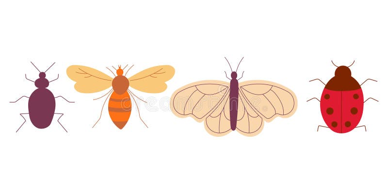 Set Colored Insect Beetle, Butterfly, Bee, Ladybug Stock Illustration ...