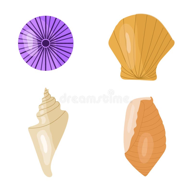 Set of Colored Shells Isolated, Cartoon, Flat Design Stock Vector ...