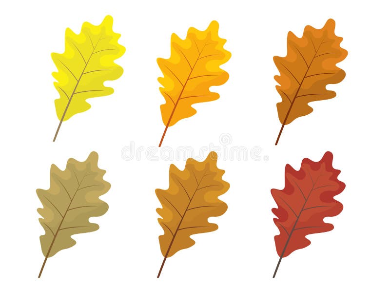 Autumn Leaves Isolated on White Background. Simple Cartoon Flat Style ...