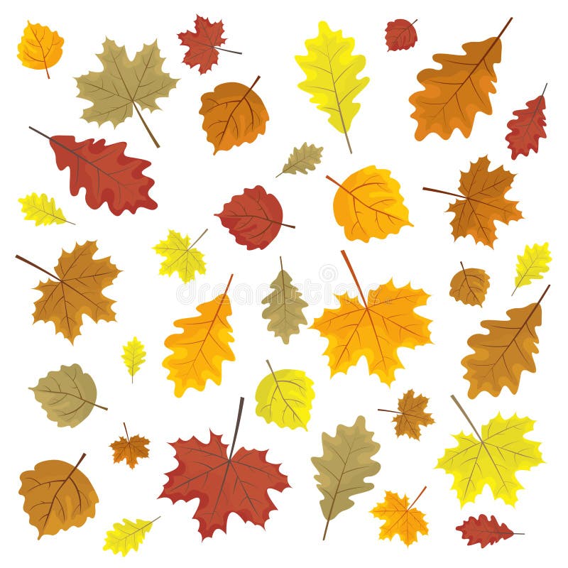 Set of Colorful Autumn Leaves. Design Elements Vector Illustration ...