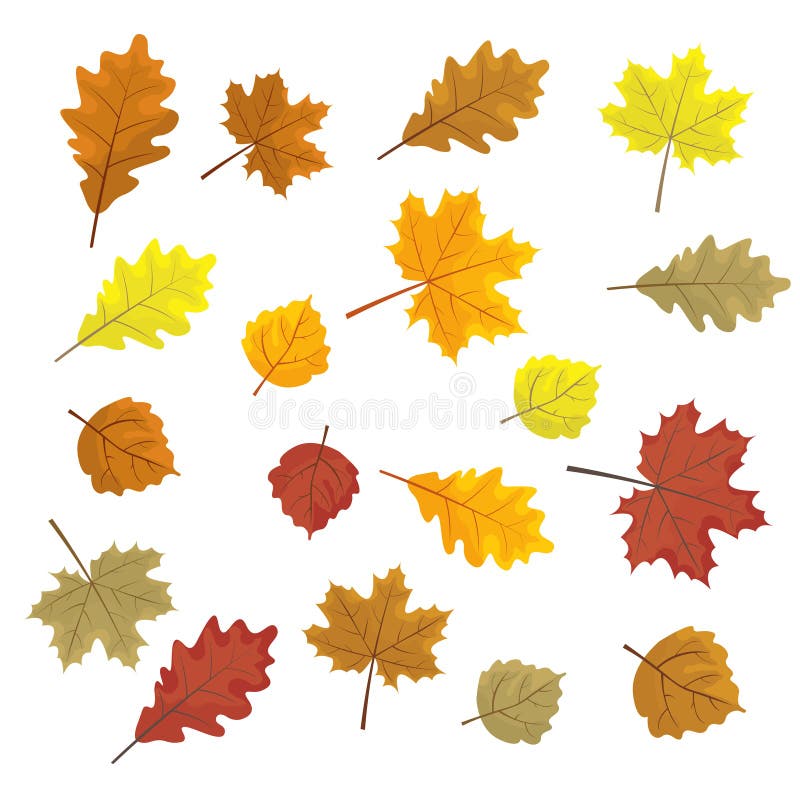 Set of Colorful Autumn Leaves. Design Elements Vector Illustration ...
