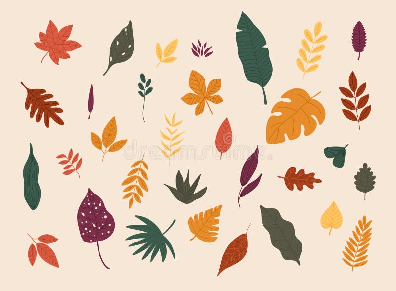 Set of Colorful Autumn Leaves. Flat Design Modern Vector Illustration ...