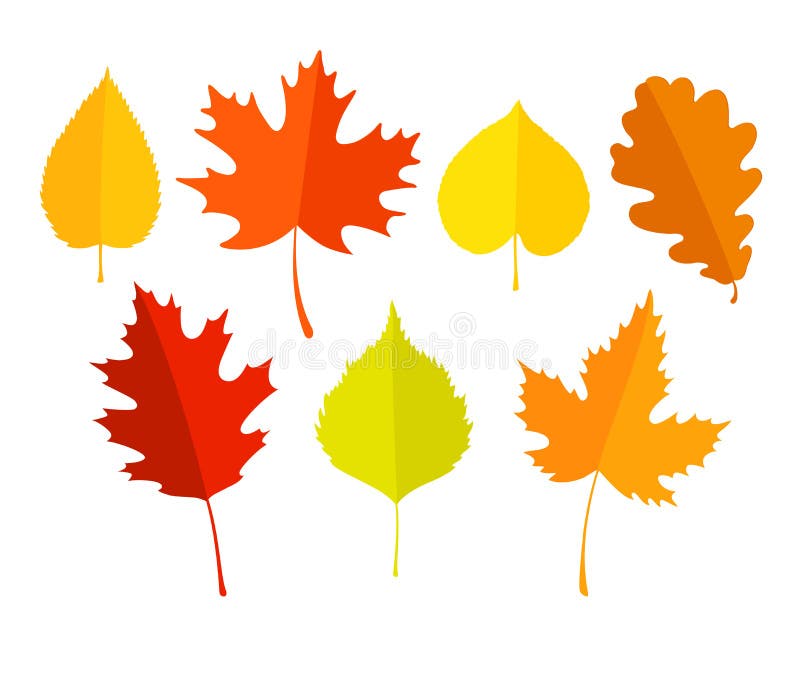 Set of Colorful Autumn Leaves on White Stock Vector - Illustration of ...
