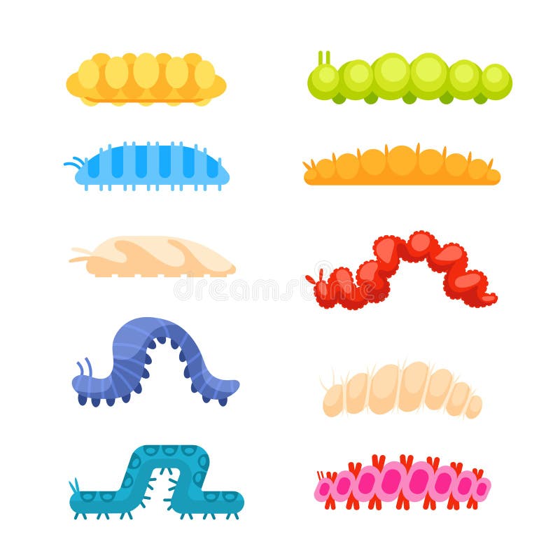 Set of Colorful Caterpillars Crawling and Smiling Cartoon Bug Character ...