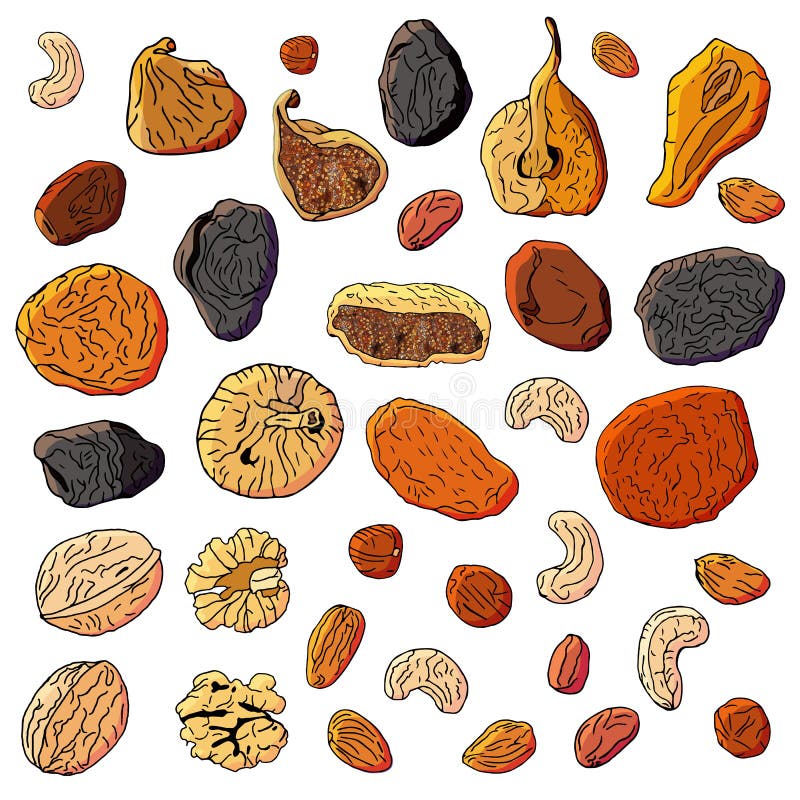 Set of Colorful Different Dried Fruit and Nuts Stock Illustration ...