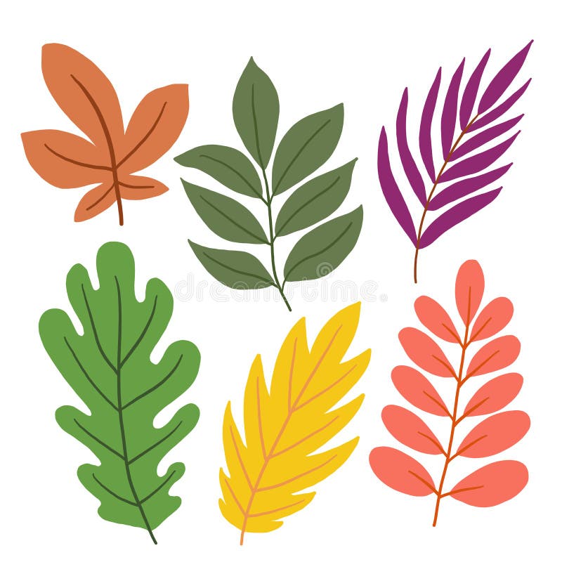 Set of Colorful Leaves on a White Background Stock Vector ...