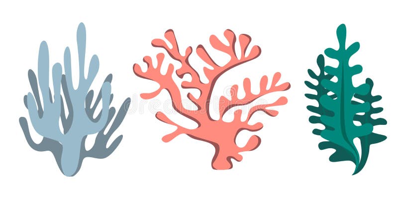 Set of Colorful Underwater Design Elements. Vector Illustration Stock ...