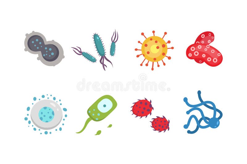 Illustration of Bacteria Cells. Scientific Illustration Stock ...